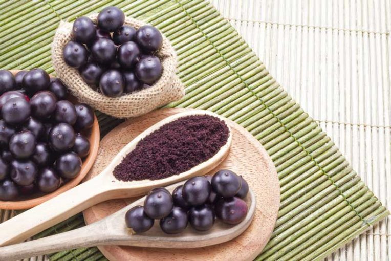 Acai- the New Super-fruit - GoogoBits